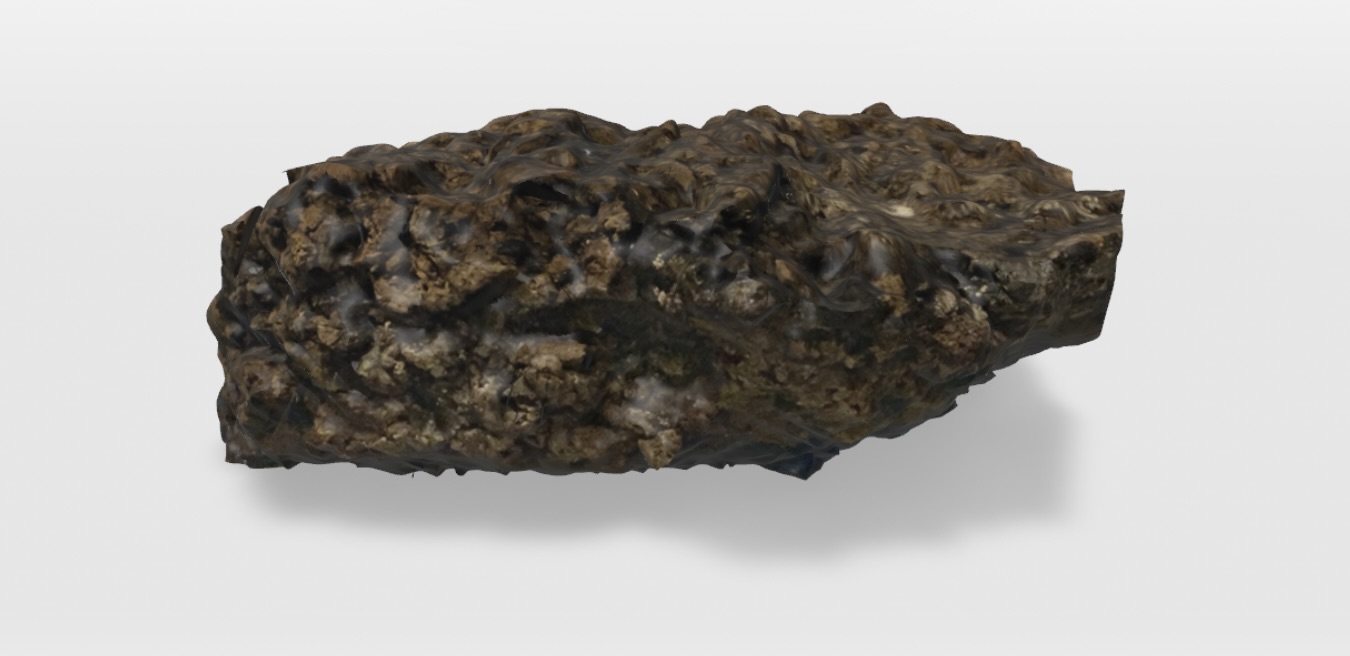 Chicago Stadium Cork - Corco